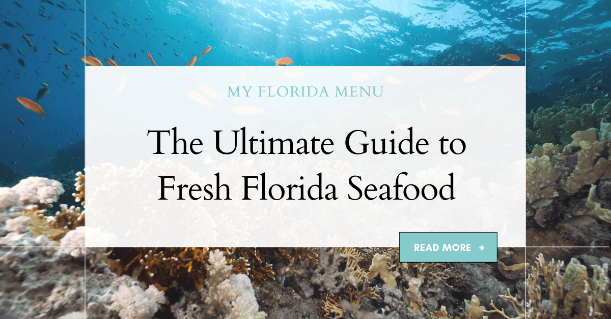 The Must-Have Florida Seafood Guide - My Florida Menu